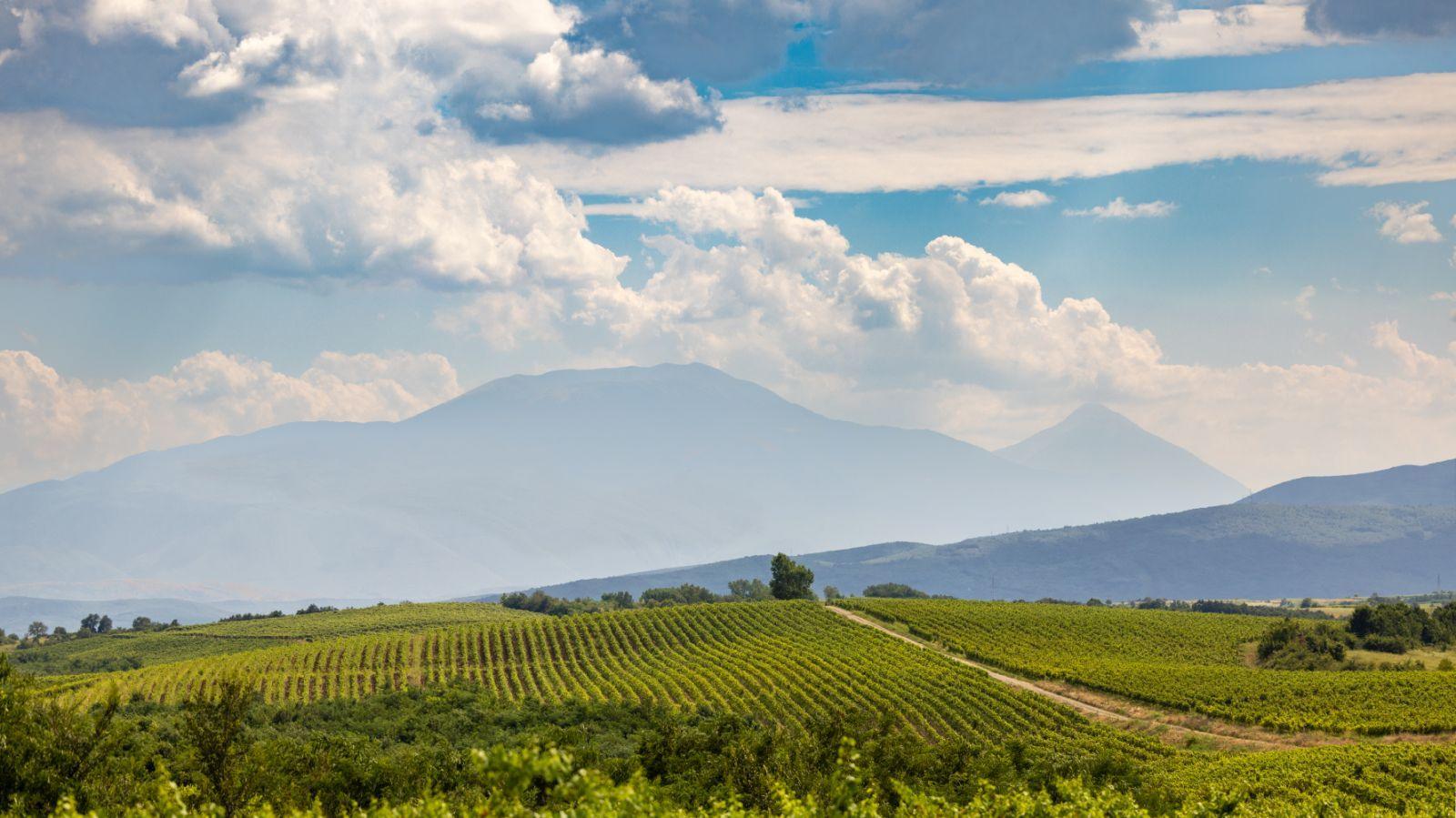 From New York to Kosovo: Rrustem Gecaj's Journey to Revitalize His ...